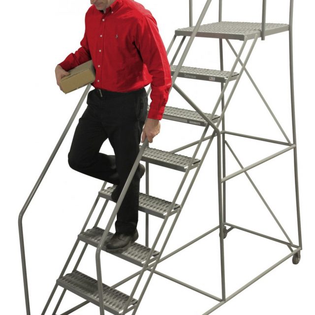 Heavy Duty Ladder - Barron Equipment & Overhead Doors